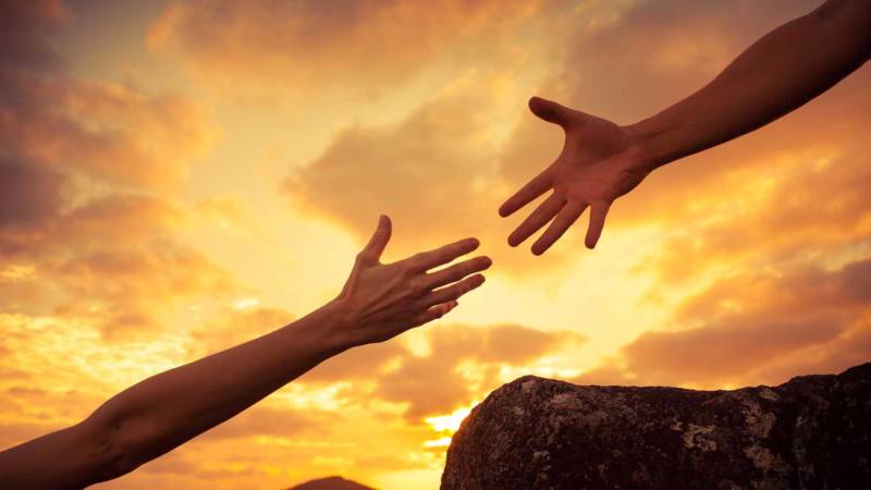 Pályázatok - Istenhegyi Géndiagnosztika